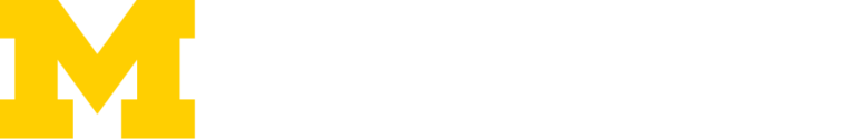 Linic, Suljo – Institute for Energy Solutions